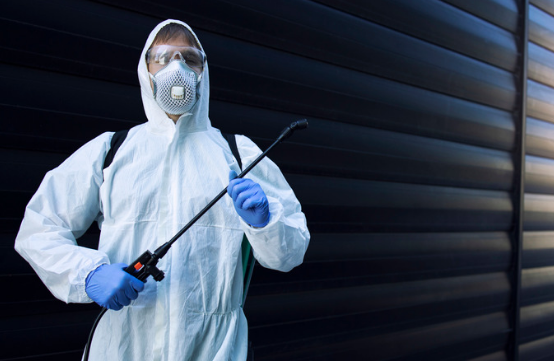 How Pest Control Experts are Trained in UK? - The Business View