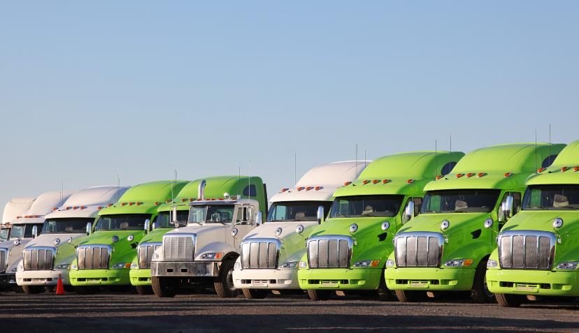 How to Manage Your Commercial Fleet’s Safety? - The Business View